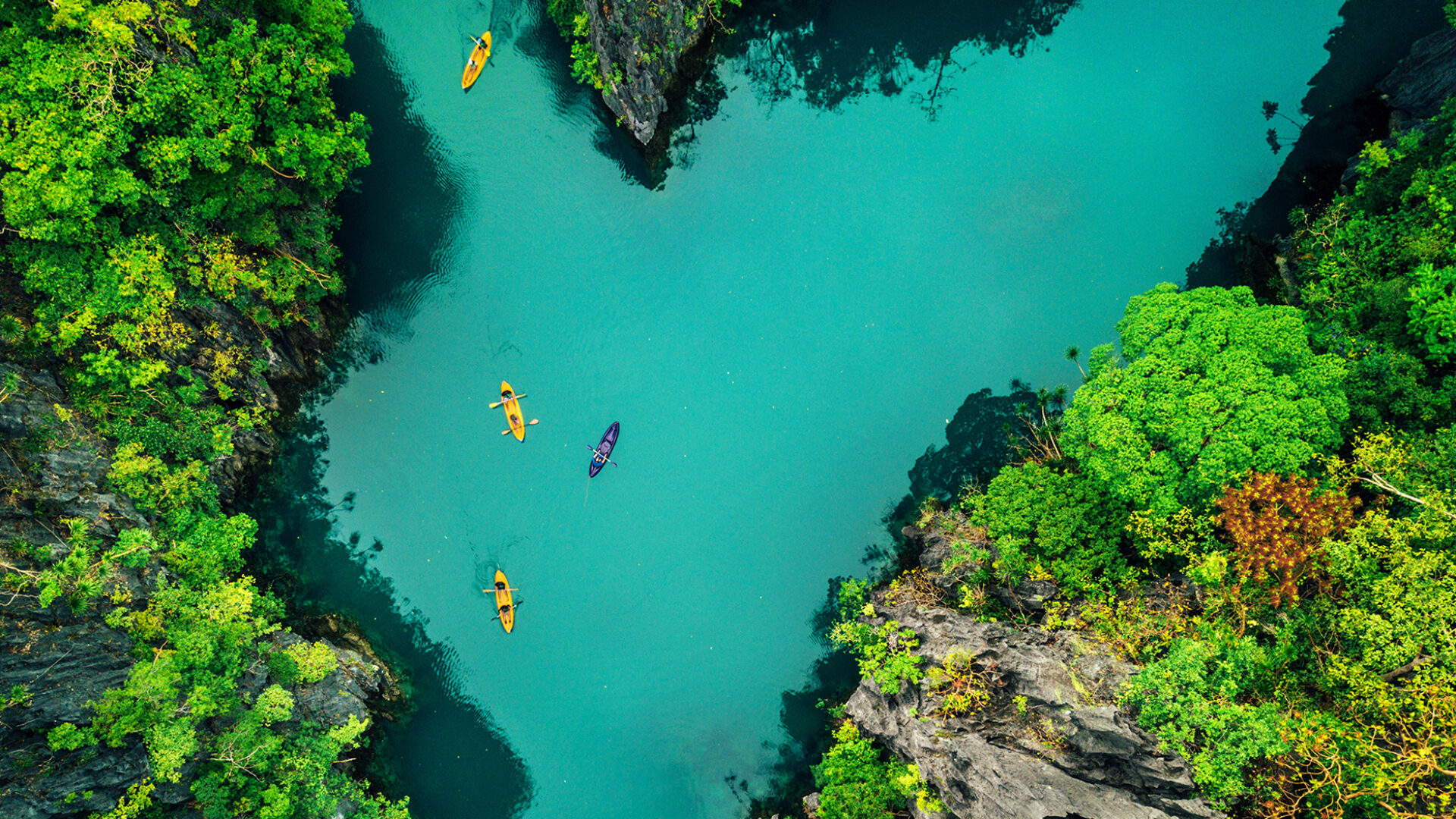 5 Young Leaders Solving Sustainable Development Issues in the ...