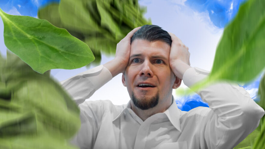 The Unsung Pillar of Japanese Work Culture: Hou-Ren-Sou - GLOBIS Insights